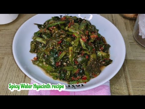 Spicy Water Hyacinth Recipe | Stir-fried Water Hyacinth Recipe - YouTube