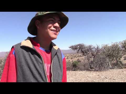 AMA SUWA video completo en castellano - YouTube