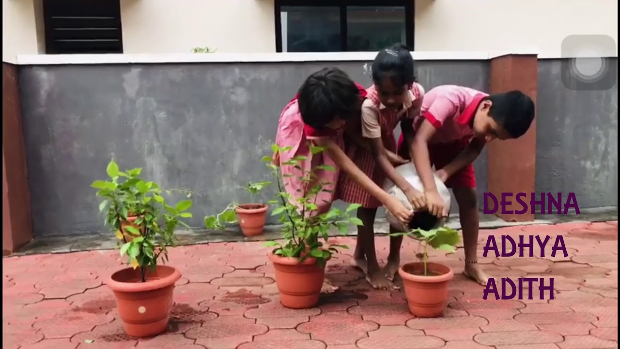 Vanamahotsava Celebration by our students - YouTube