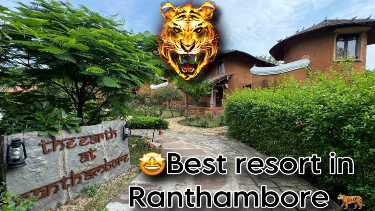 The earth resort - Ranthambore 🐅best resort in Ranthambore 🐯 - YouTube
