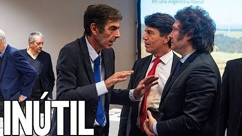 C5N en vivo y directo ahora - YouTube