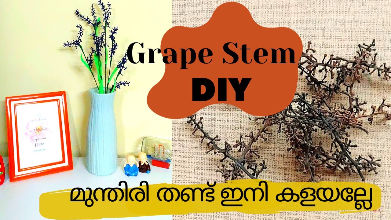 Grapes Stem Craft | Flower making from Dry Stem| മുന്തിരി തണ്ടു കൊണ്ട് ...