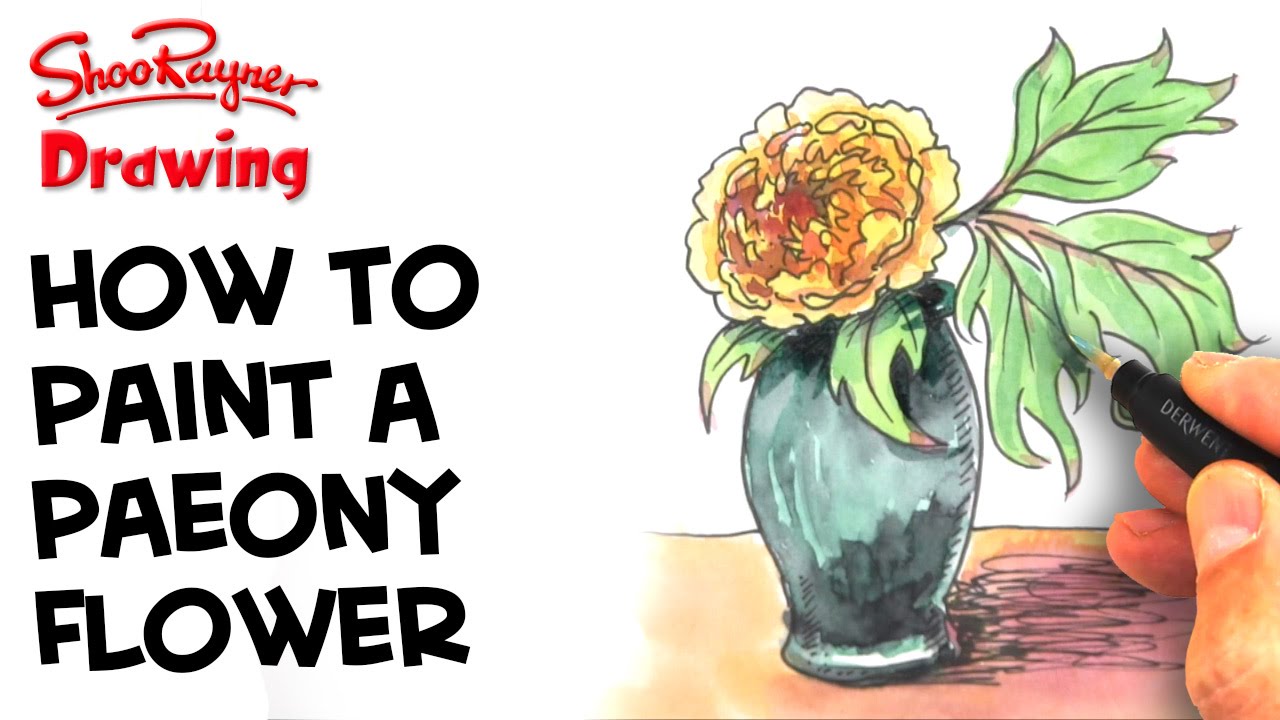 How To Draw The State Flower Of Indiana Step By Step - Infoupdate.org