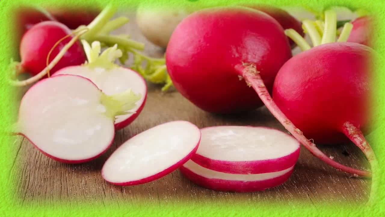 Para Que Sirve La Hoja De Rabano Como Planta Medicinal - Para Que Sirve ...