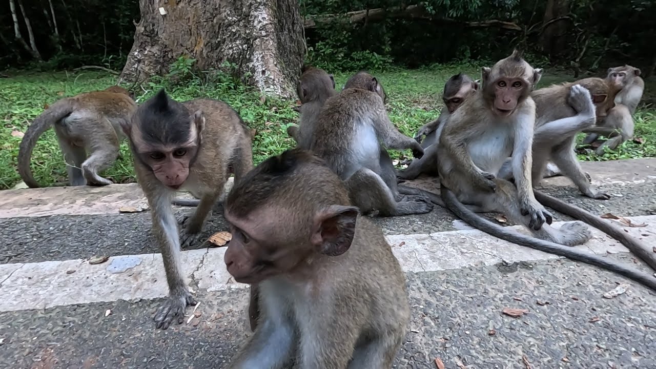 They Are So Cute - YouTube