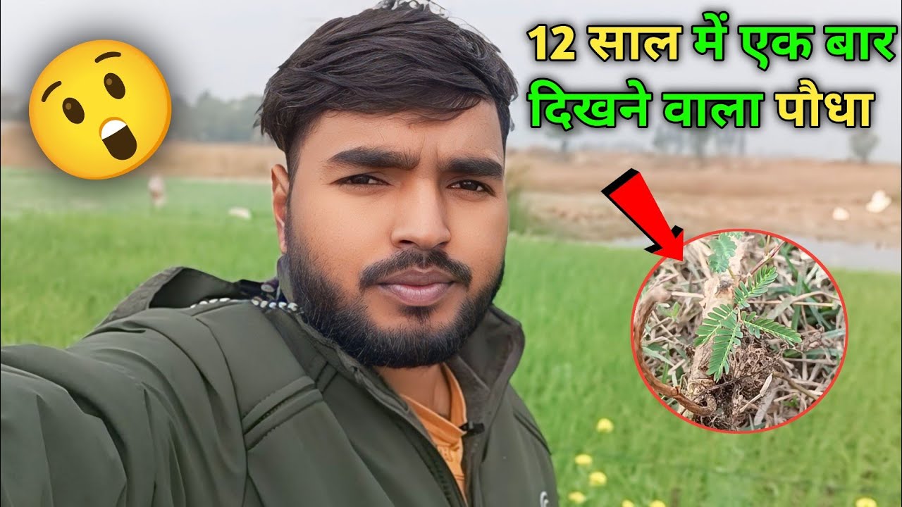 तालाब के बीच में दिखाई दिया अजीबो चीज 😯 ~ akhir ye podha he kya ? ~ # ...