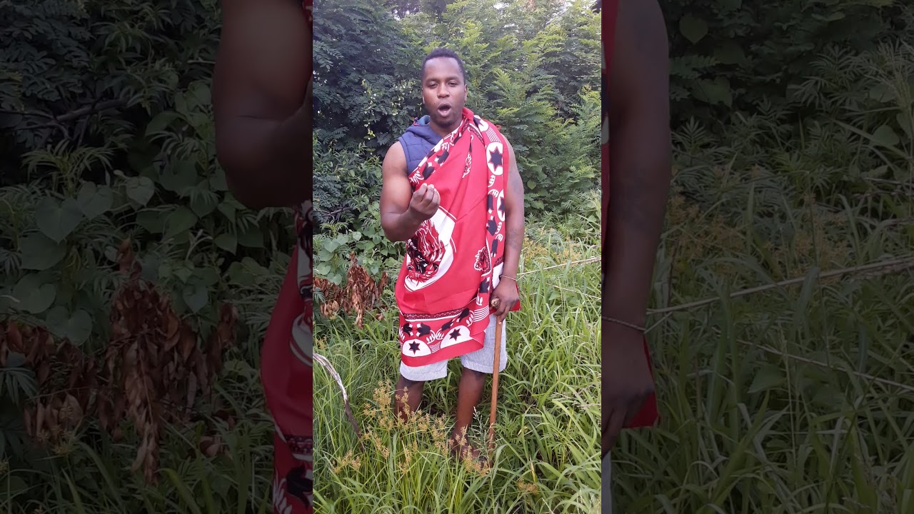 Uma ungasabatholi abantwana|Ukucela umntwana edlozini|Vusi Mabunda ...