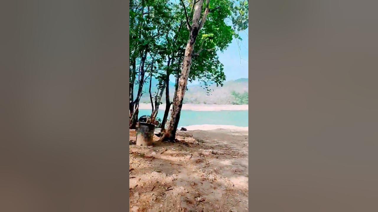 തൃശൂർ ചിമ്മിനി ഡാം Youtube