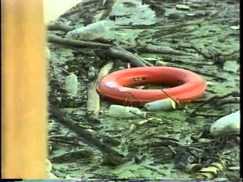Don River - Trashed and Polluted - YouTube