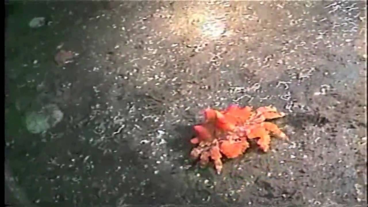 HMCS Mackenzie Artificial Reef - YouTube