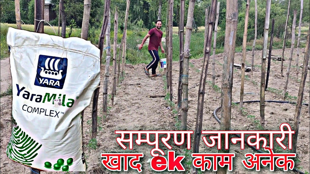 yara-mila-complex-n-p-k-12-11-18-npk-fertilizer-praveen-thakur