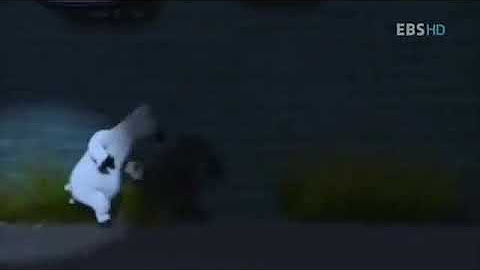 빼꼼 시즌2 (EBS HD 2008) - YouTube