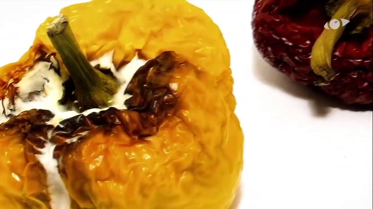 Descomposición de alimentos a causa de los microorganismos - YouTube
