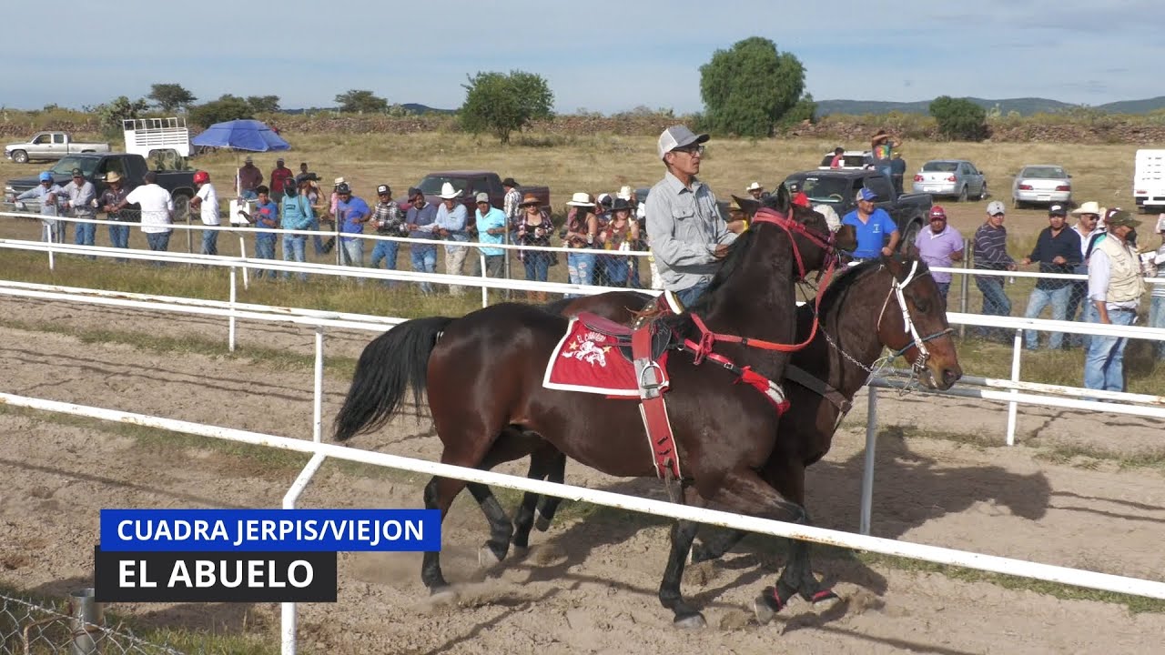 EL ABUELO VS EL JEFE DE JEFES - YouTube