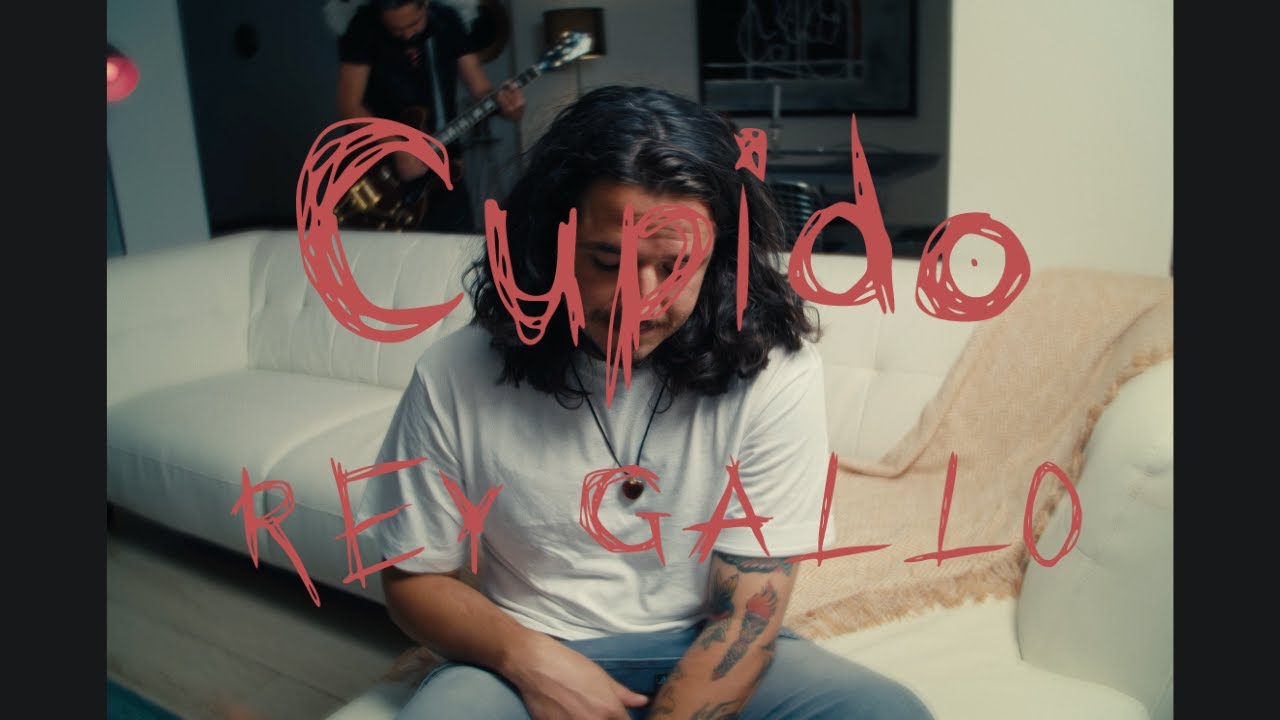 Rey Gallo - Cupido (Video Oficial) - YouTube