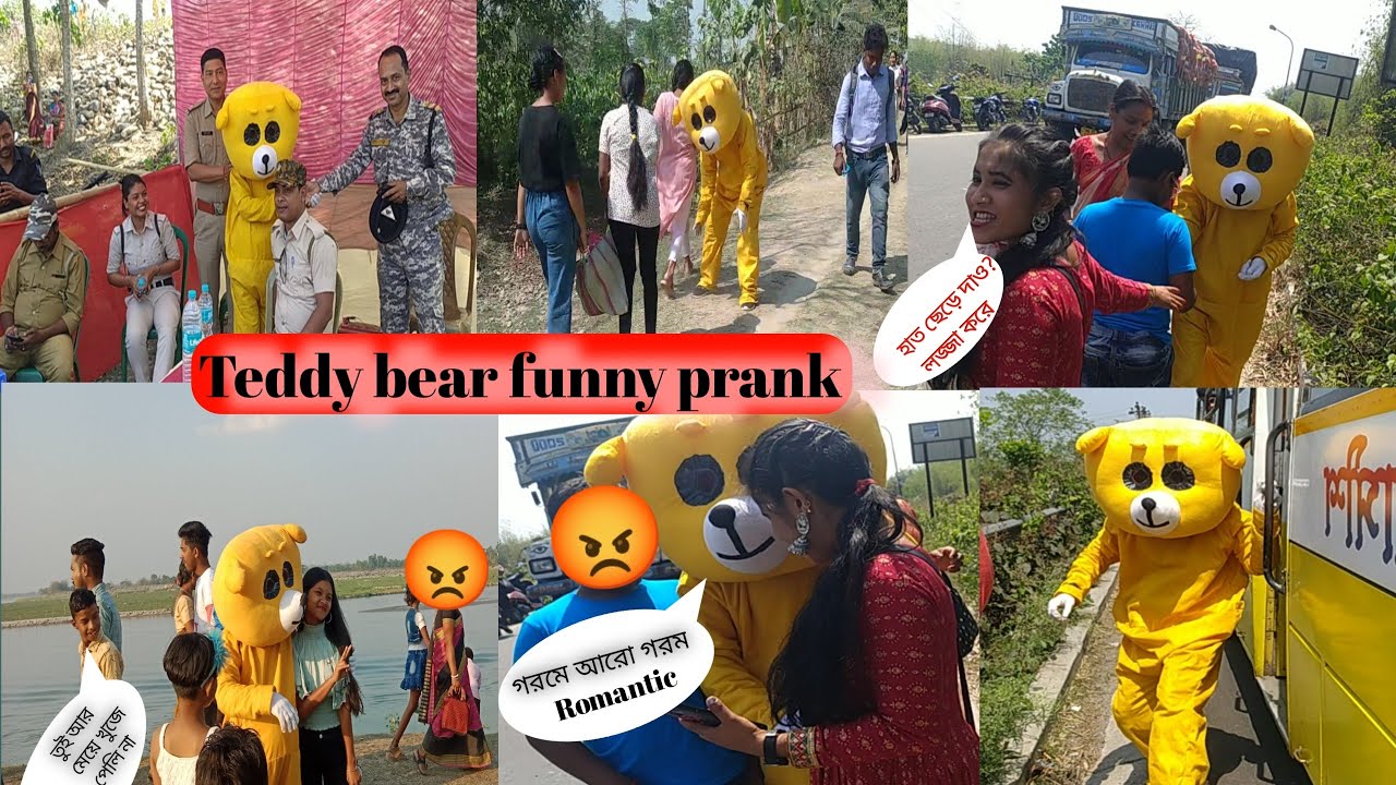Funny videos compilation /best instant regred videos /Teddy bear /Teddy ...