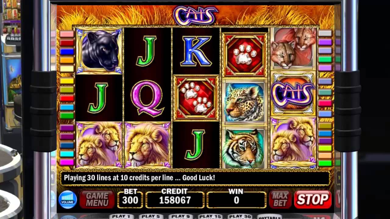 IGT - Slots Cats Gameplay - YouTube