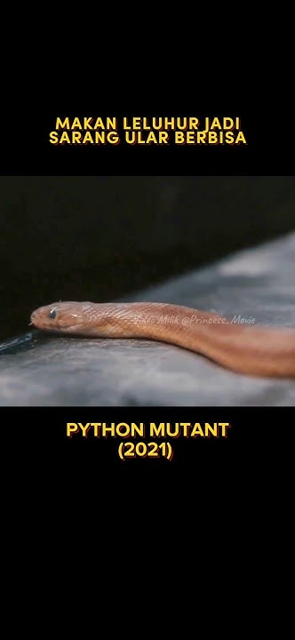Python Mutant (2021) || Cuplikan seru film ||#short #python #film # ...