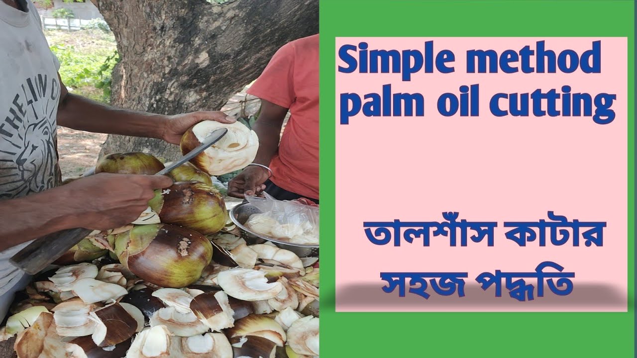 Method of baring palm fruits। তালশাঁস বার করার পদ্ধতি। Simple method ...