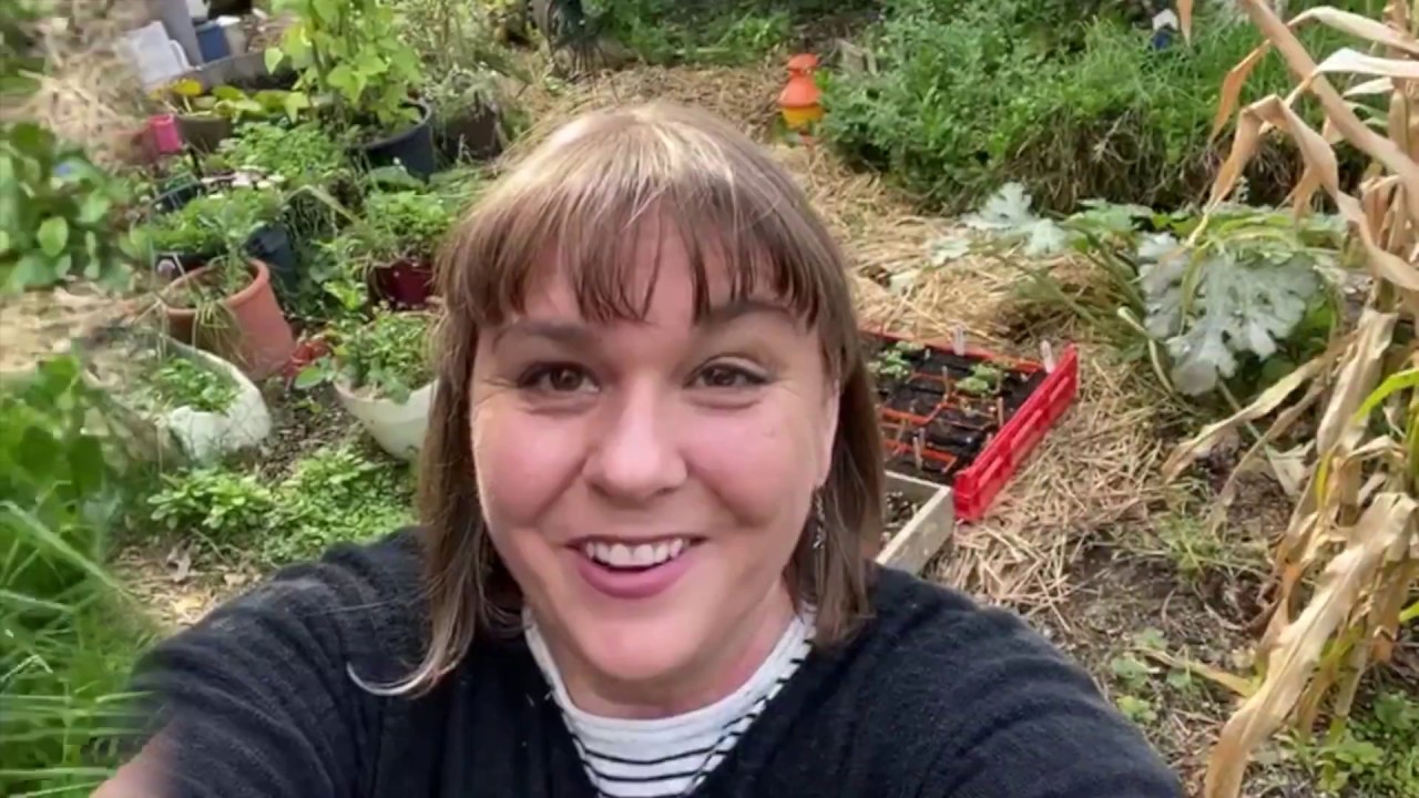 Transplanting Seedlings with Hey Hoe Let's Grow - YouTube