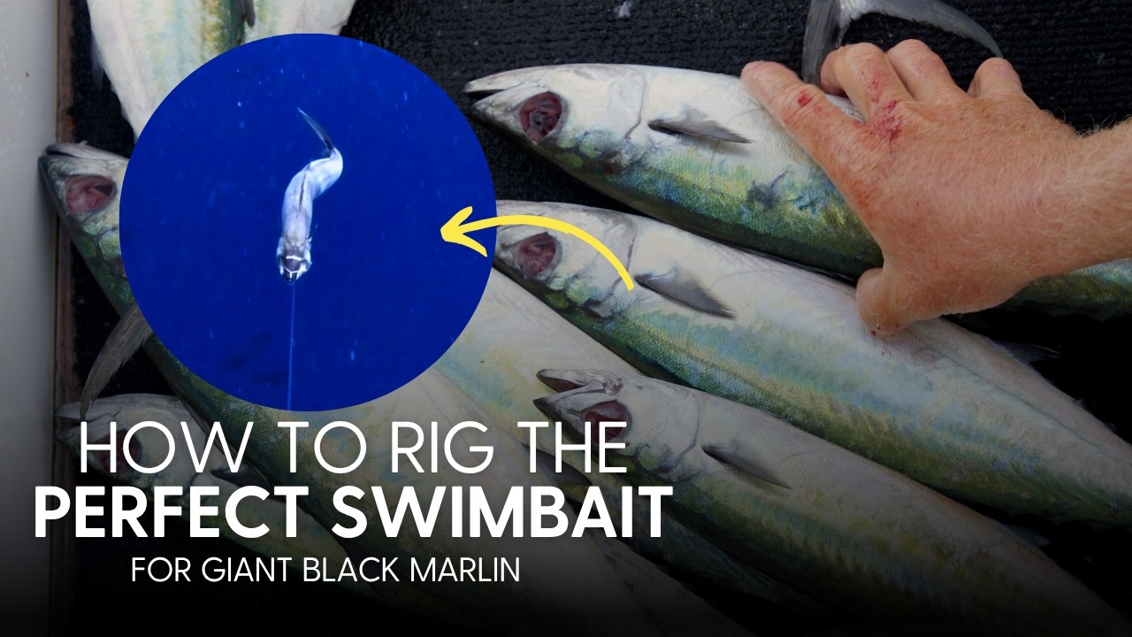 How to Rig A Swimming Scad for Giant Black Marlin - YouTube