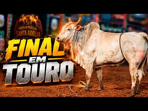 Rodeio de SANTA ADÉLIA 2026: Final em Touro