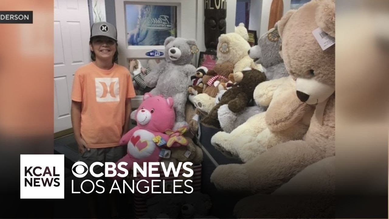 Foundation collects teddy bears to help hospitalized children - YouTube