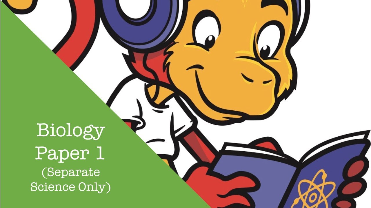 Biology Paper 1 (Separate Science Only) - YouTube