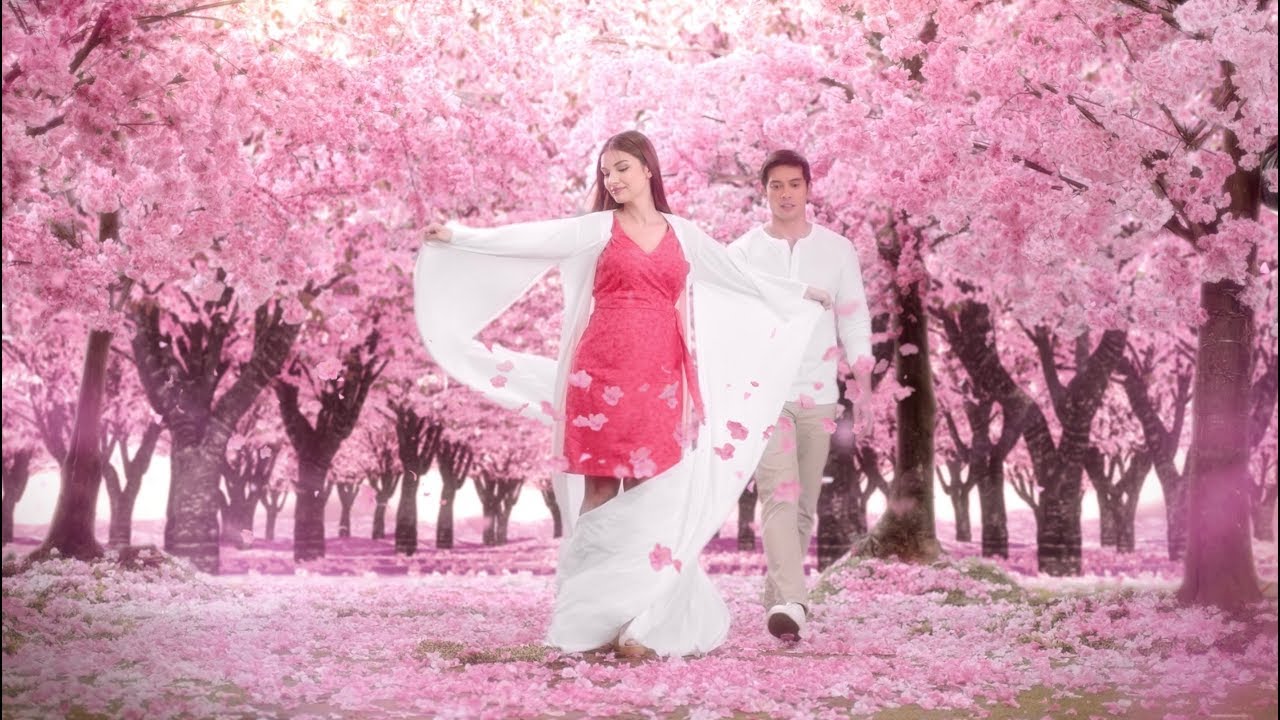 Pride Sakura Blossom "SAKURAGANDA" 30's - YouTube