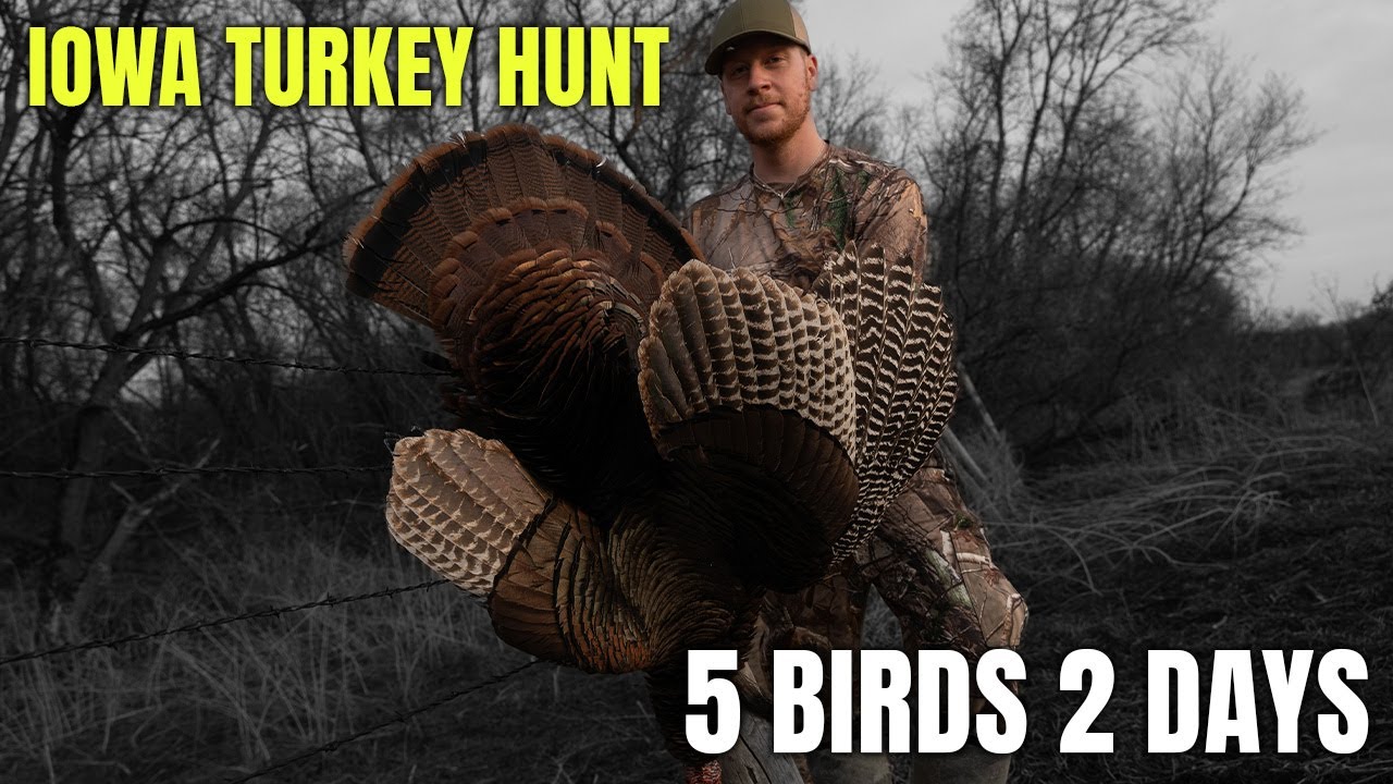 First Season Turkey Hunt (Iowa) - YouTube