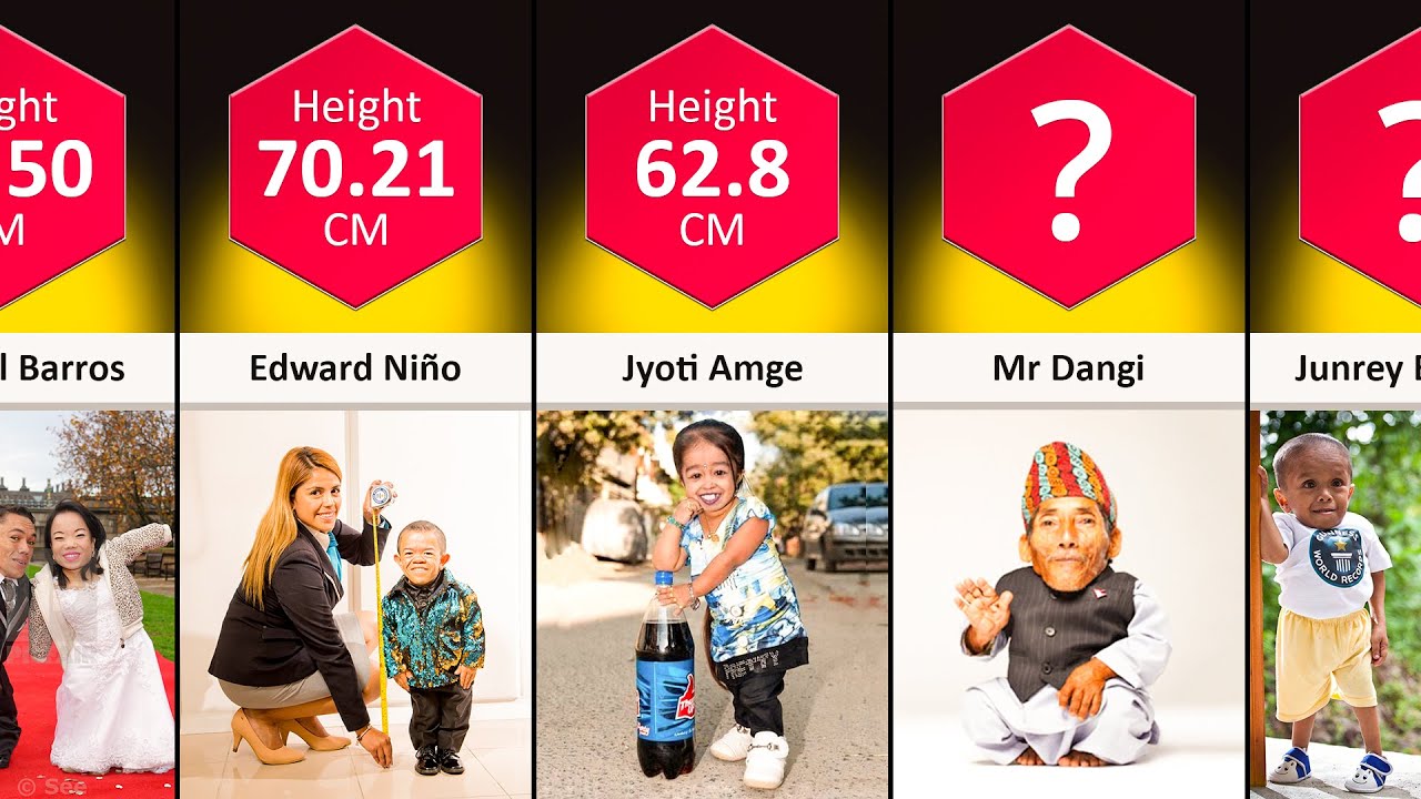Comparison: World's Shortest People | DataPoints - YouTube