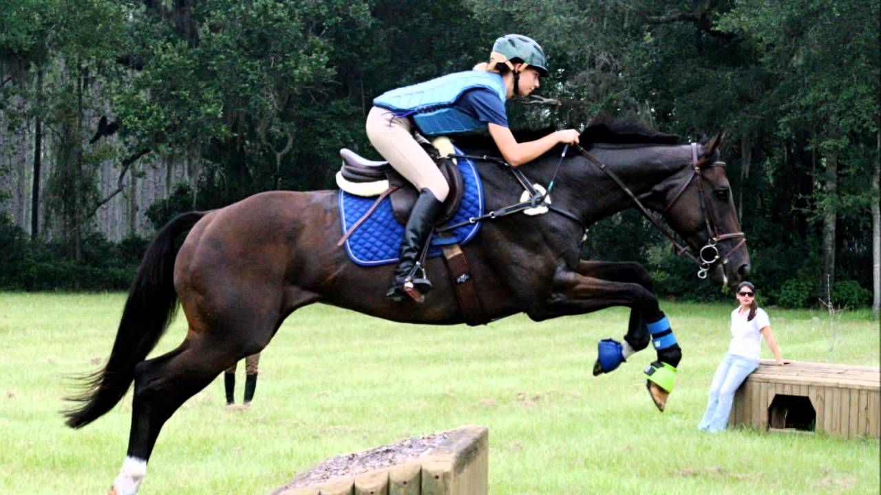 Chip again - YouTube