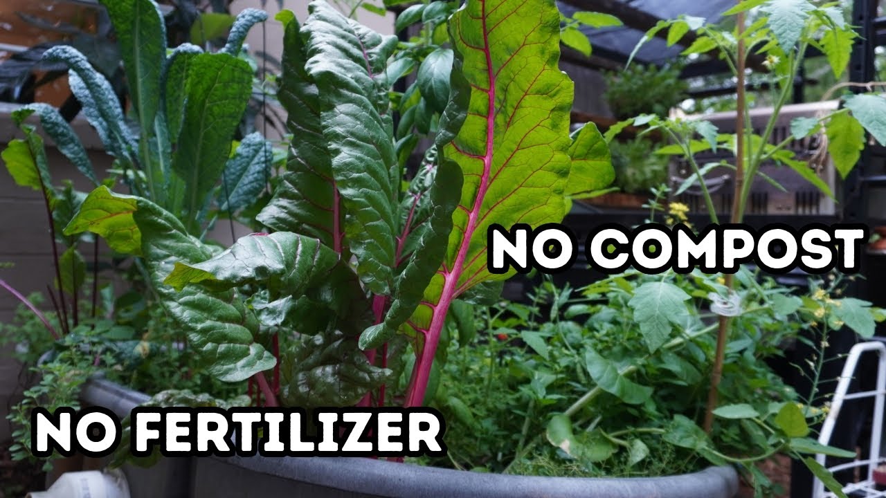 No Fertilizer, No Composting, Carefree Mother Nature Gardening - YouTube