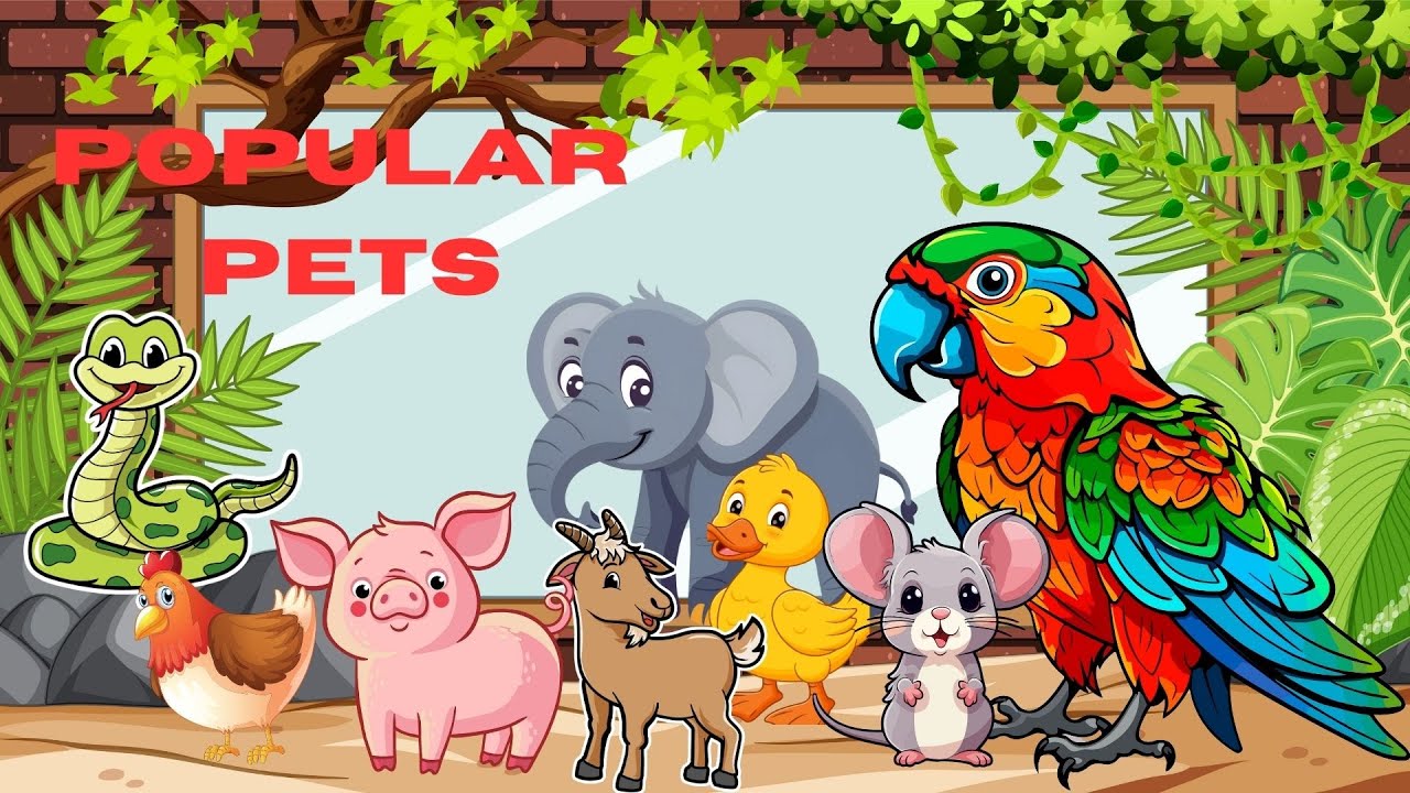 10 Most Popular Pets in the World From Dogs to Dragons Top Pets Around ...