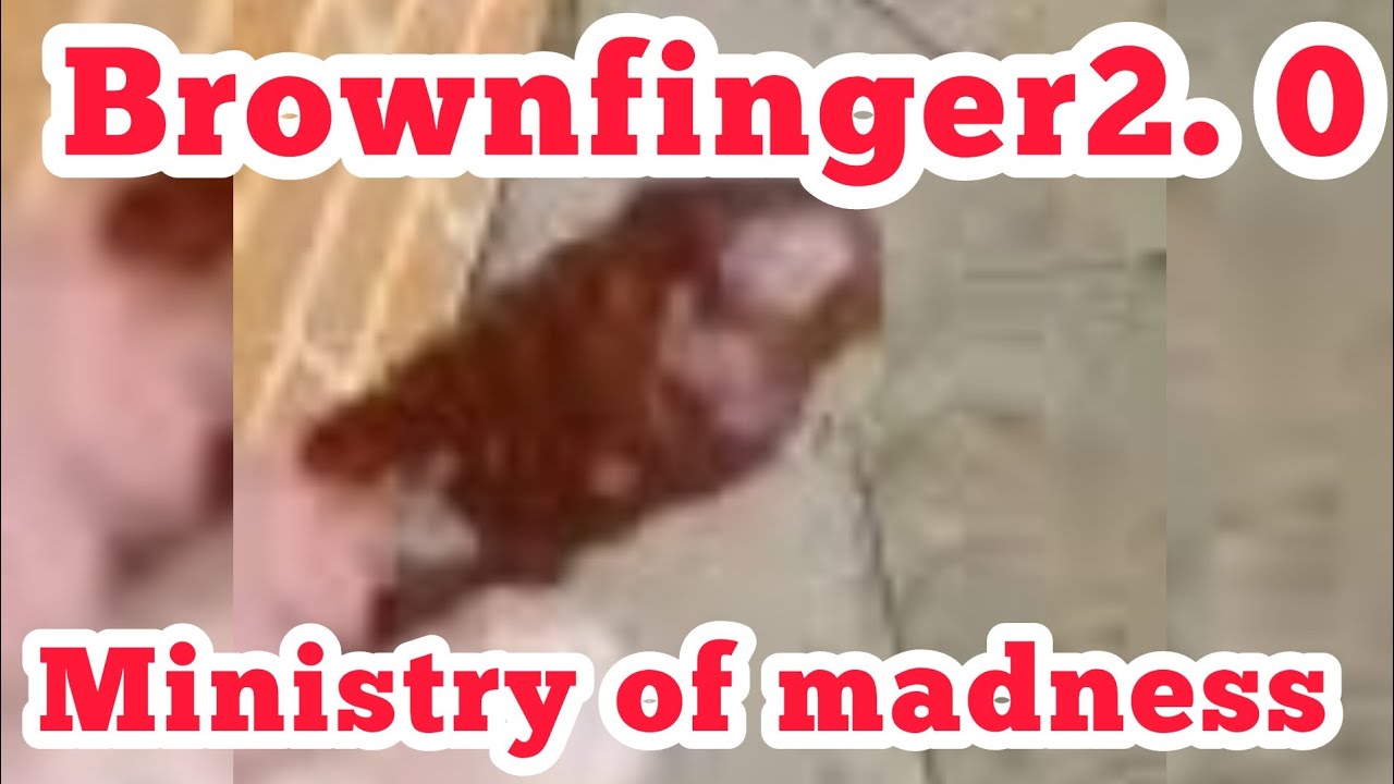POO FINGER GANG #trending #shorts #funny #comedy #live #trendingshorts ...