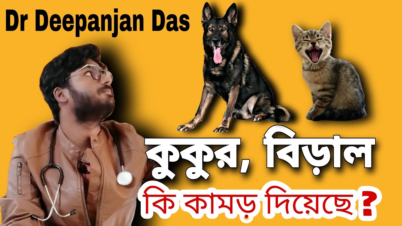 জলাতঙ্ক কি ও কেন Dog and Cat bite treatment in Bengali | Vaccine কি নিতেই হবে Dr Deepanjan Das ...