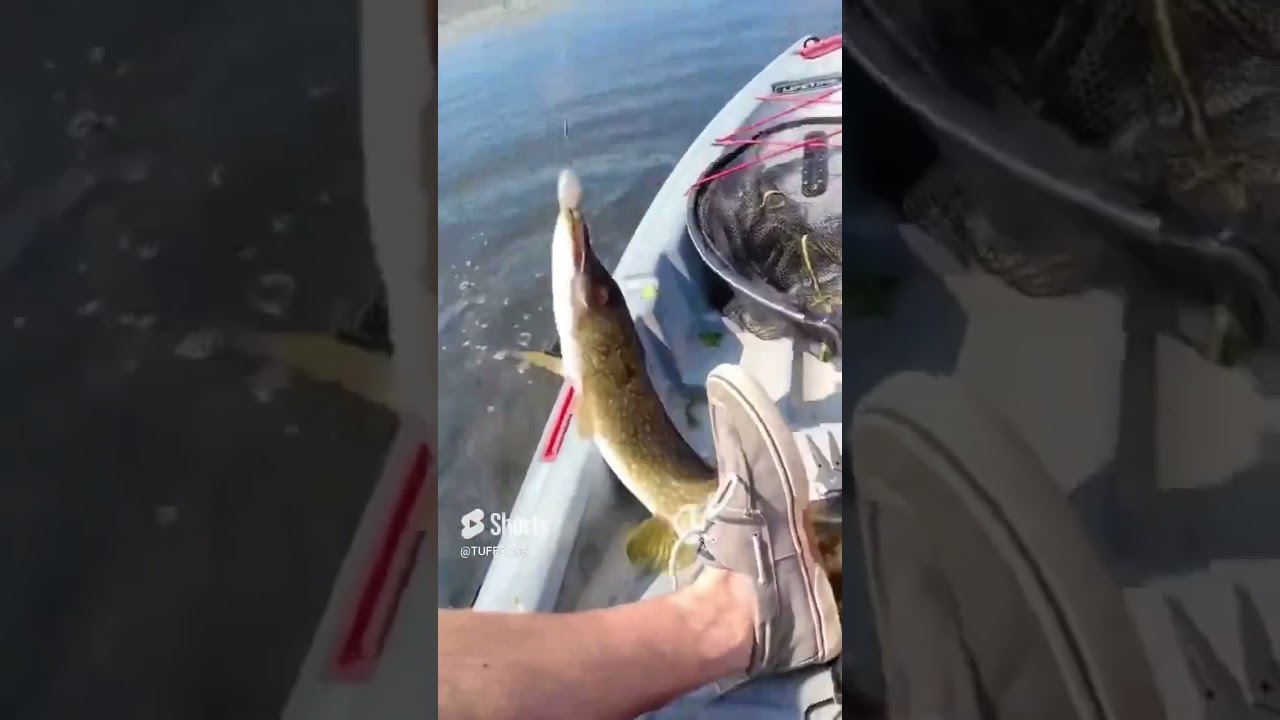 WATCH Those HOOKS! - Fishing Gone WRONG! - Fishing