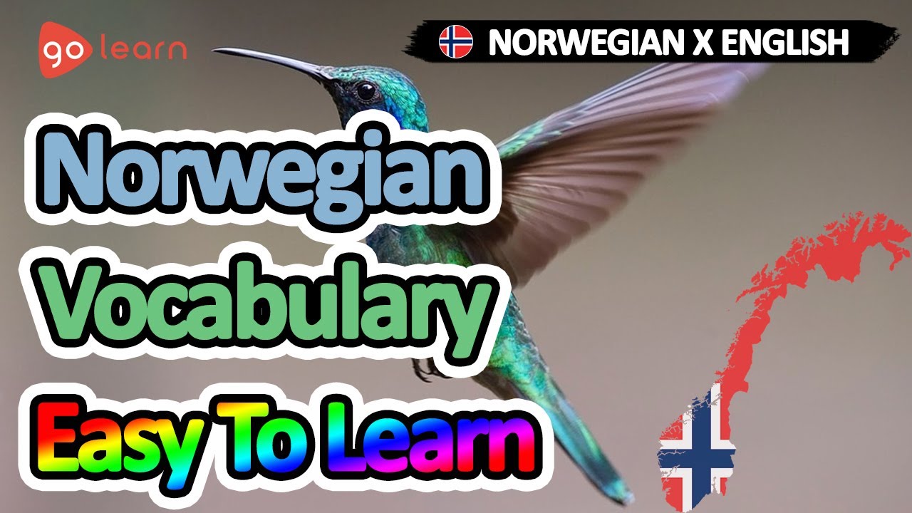 Learn Norwegian |Part 3: Norwegian Vocabulary Easy To Learn | Golearn ...