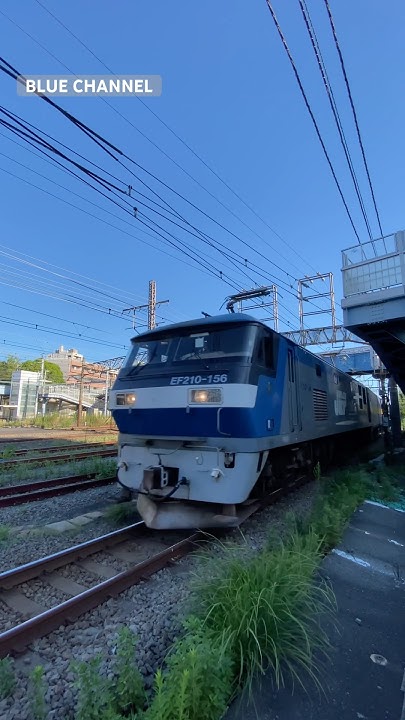 (貨物列車) 2024/09/05 5061レ EF210-156 + コキ20B カンガルーライナーTF60 (東京タ〜東福山) #Shorts - YouTube