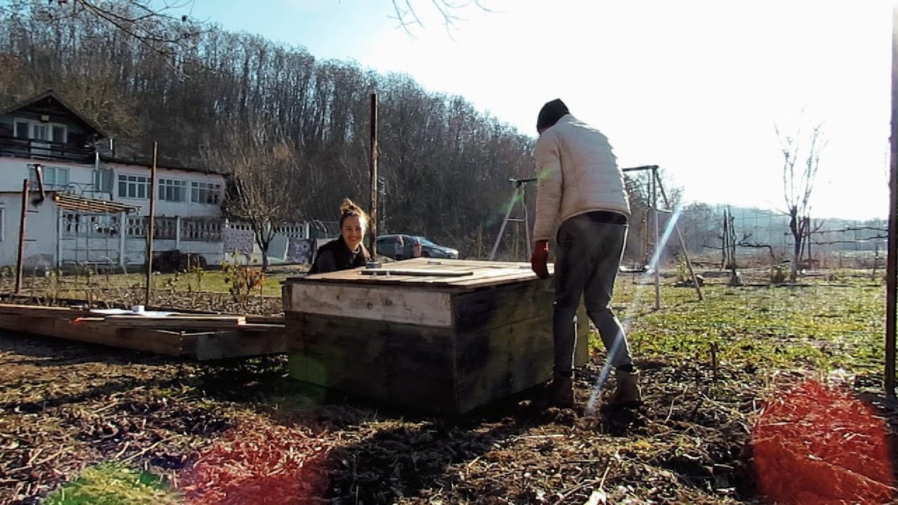 🥰Gradina de legume prinde contur 🌱🫛🫑🥬//Roxana-Alina - YouTube