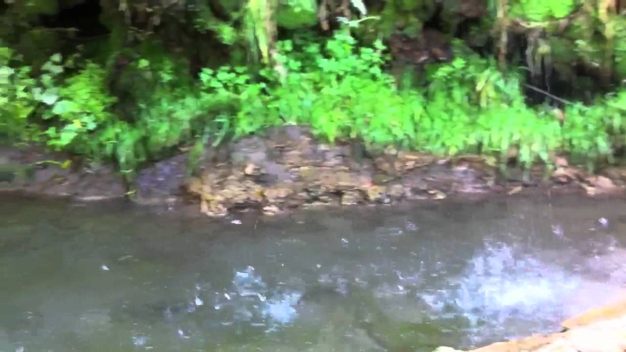 Mother Shipton's Petrifying Well - YouTube