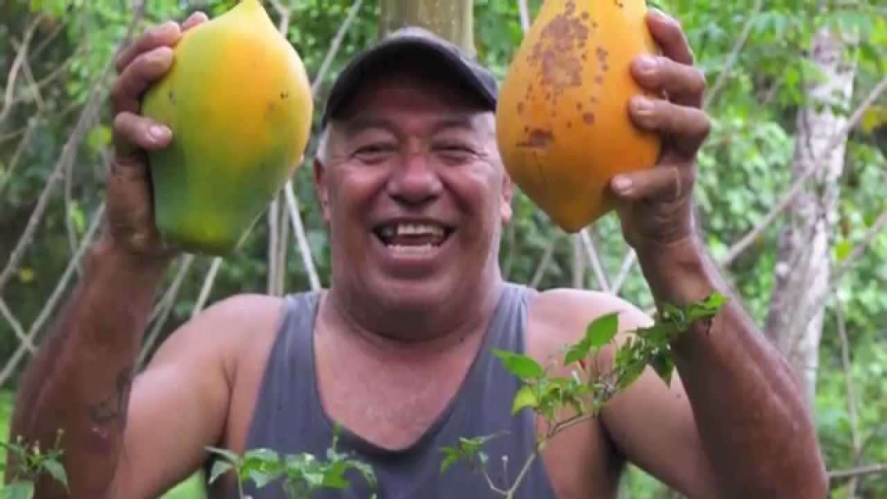 The Internet of Experiences: Papaya breakfast in Fiji - YouTube