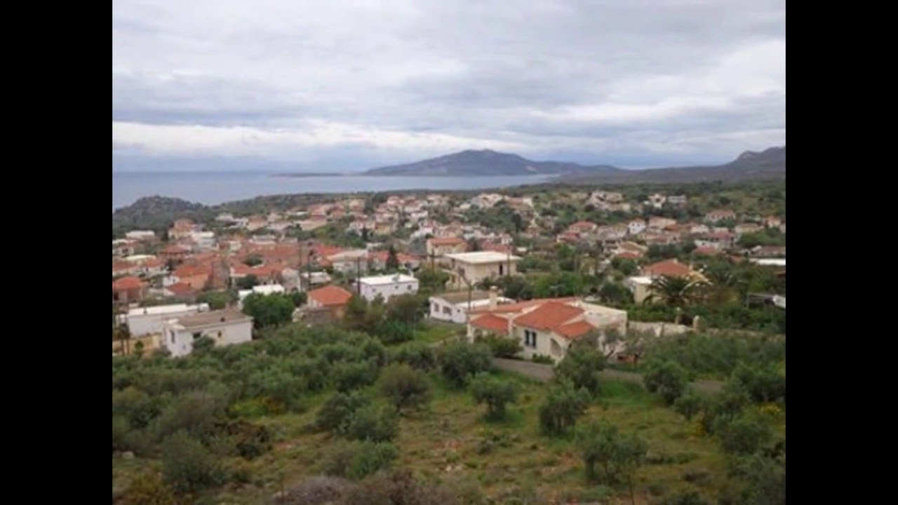 ΣΥΚΕΑ: ΑΠΟ ΤΑ ΒΙΒΛΙΑ ΤΟΥ ΑΚΑΔΗΜΑΪΚΟΥ ΔΡ. Κ. ΜΕΝΤΗ, ΑΓΓΕΛΩΝΑ - ΒΕΛΙΕΣ ...