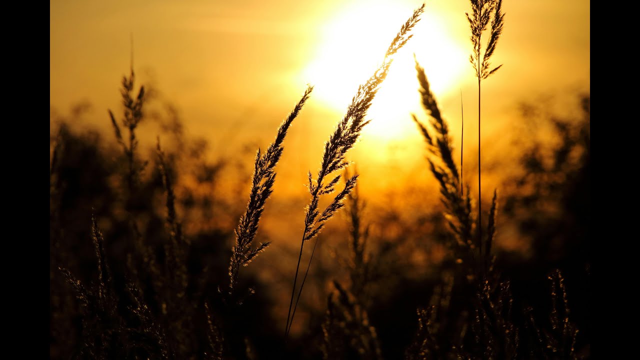 A Better Life - Under The Setting Sun (feat. Holly Taymar) - YouTube