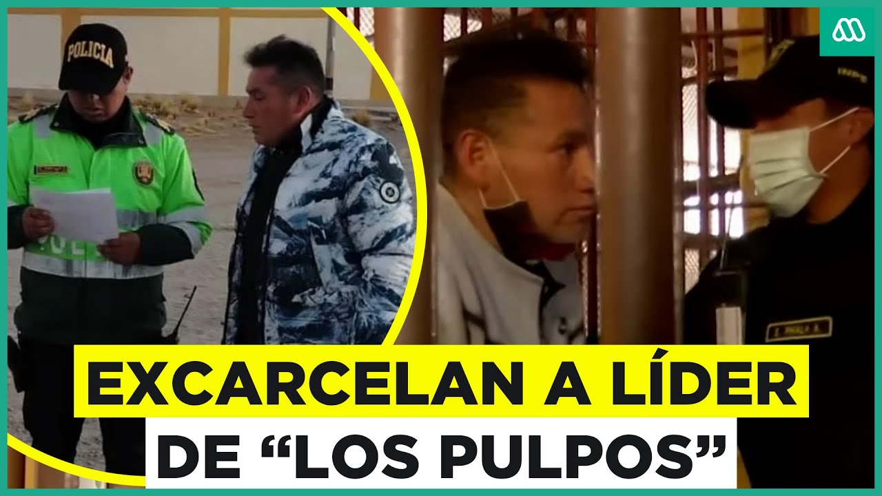 Liberan a líder de "Los Pulpos" en Perú: Expertos advierten que ...