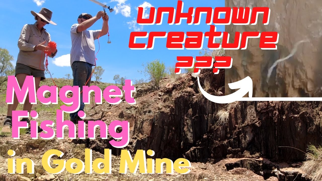 Underground Magnet Fishing - did we discover an unknown creature? - YouTube