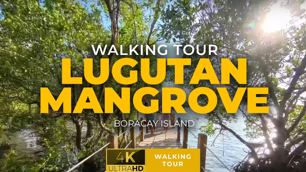 Walking in Lugutan Mangrove Park Boracay walking tour - YouTube