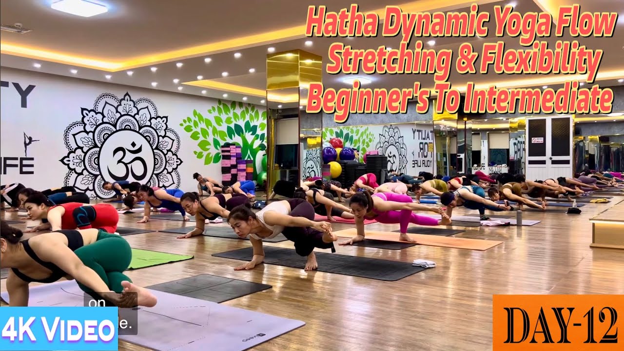 DAY-12 Hatha Dynamic Yoga Flow Stretching & Flexibility | Master ...