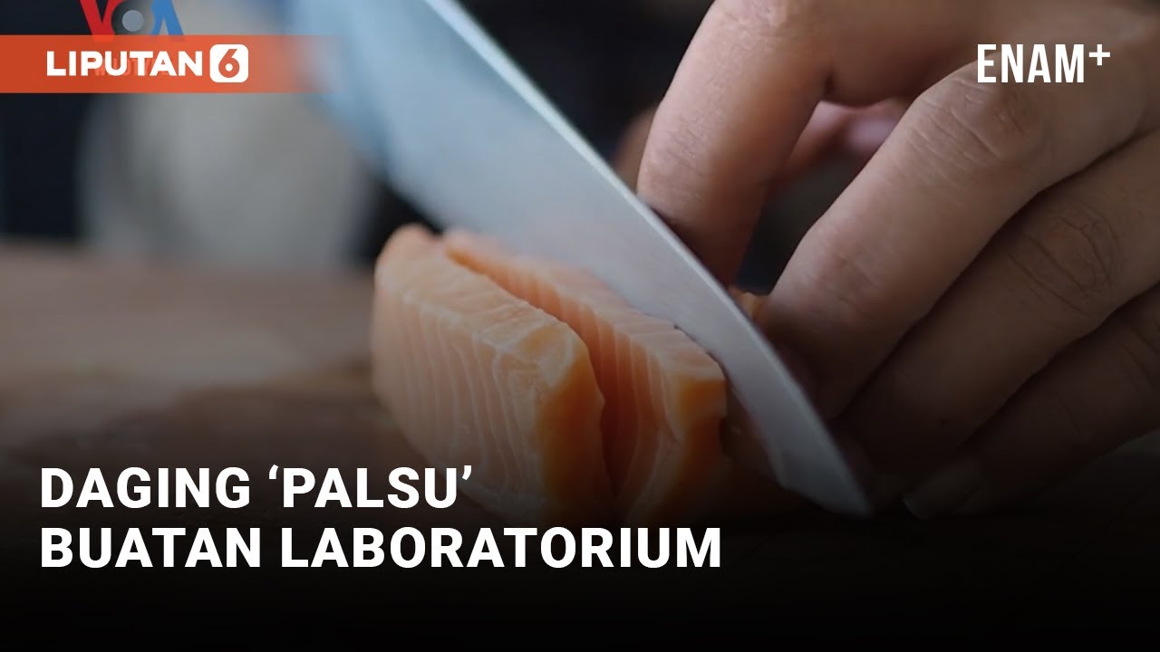 Ini Dia Daging 'Palsu' Buatan Laboratorium | Liputan6 - YouTube
