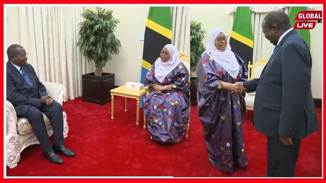 VIDEO: MAKAMU WA RAIS PHILIP MPANGO ALIVYOINGIA IKULU KUSALIMIANA NA ...